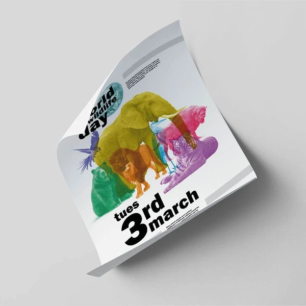 Multi Set Posters | Office Bridge Group